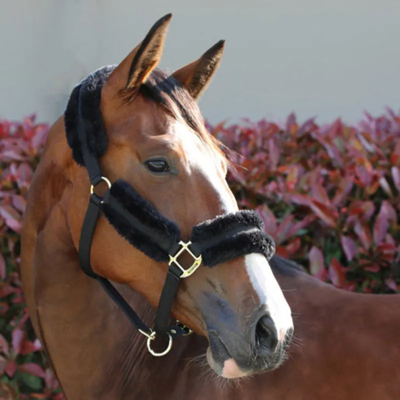 Kentucky Nylon Sheepskin Headcollar Black
